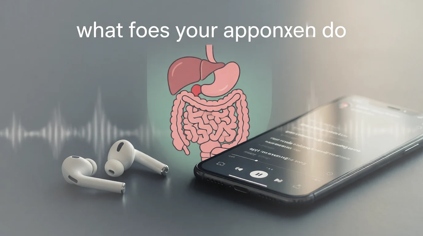 What Does Your Appendix Do? The Small Organ Everyone Is Curious About
