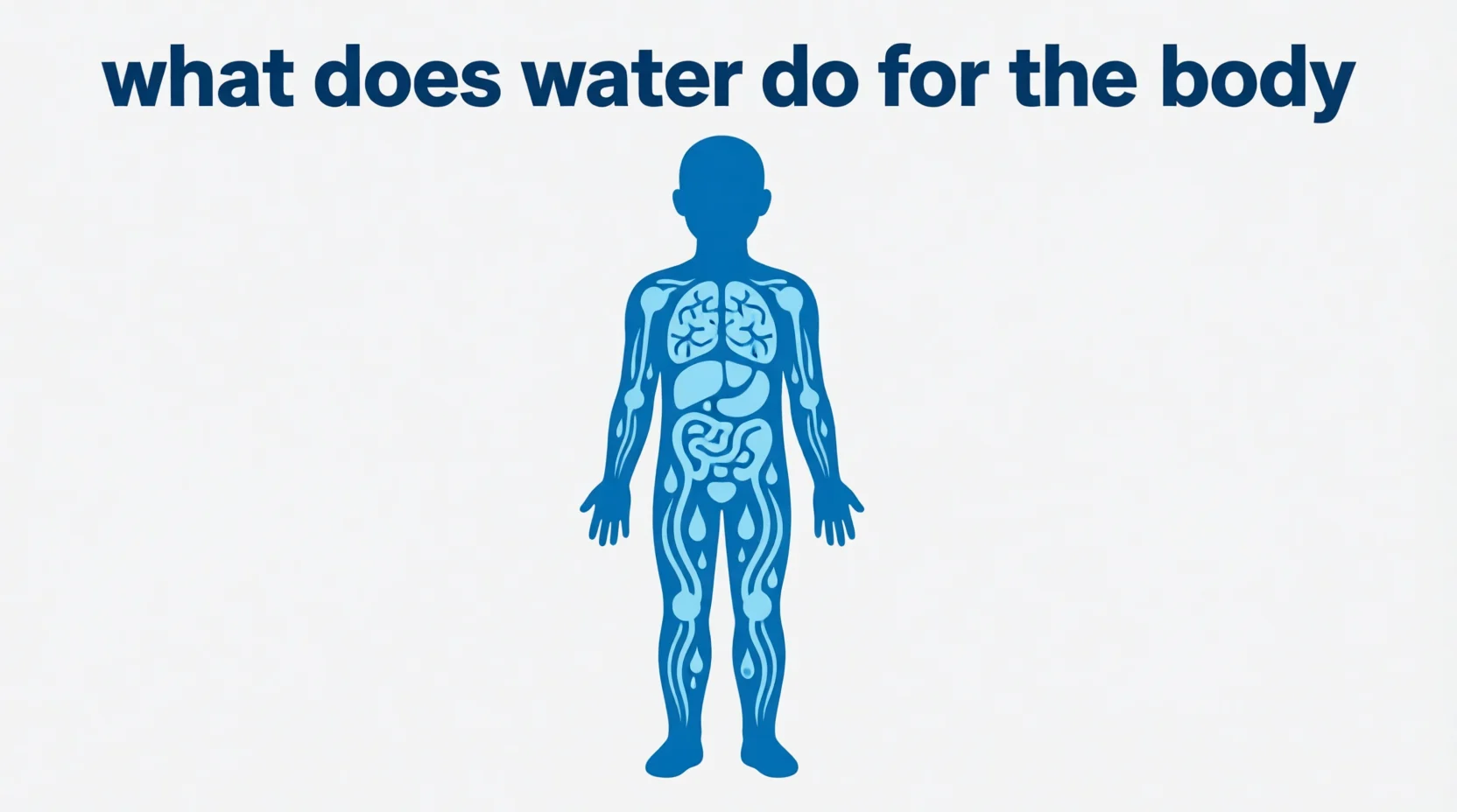 What Does Water Do for the Body? Simple Benefits Explained for Everyday ...